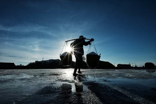 The Best Jobs for the Aspiring Job Traveller: Work While You Explore